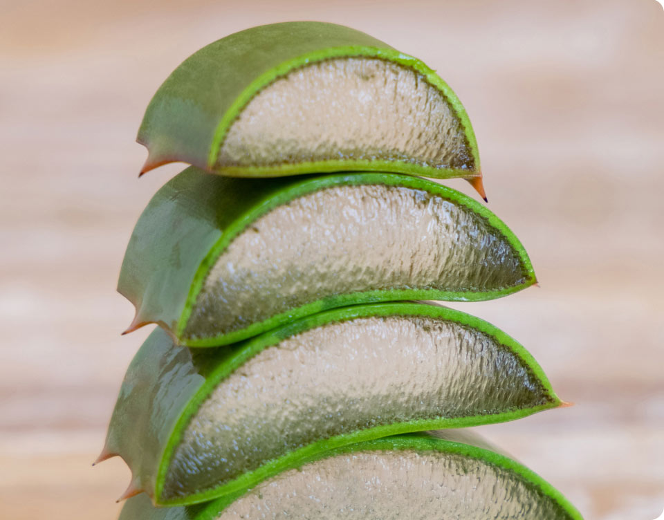 Our Process - Lily of the Desert