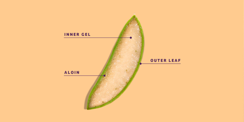 Inner Fillet Aloe Vera Gel - Lily of the Desert